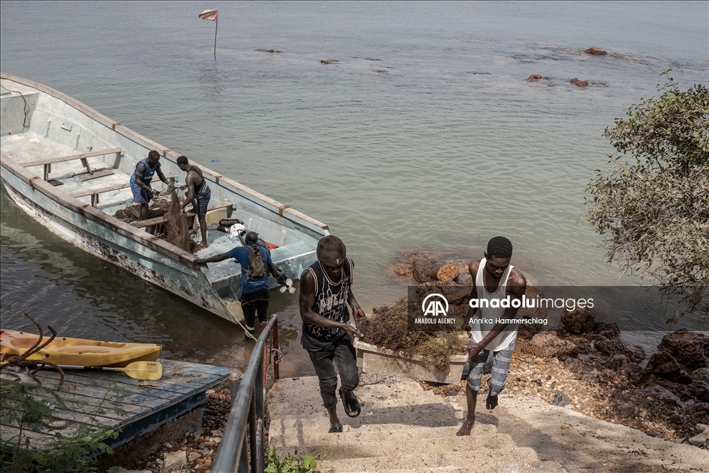 Cleaning of "ghost nets" in Senegal - Anadolu Ajansı