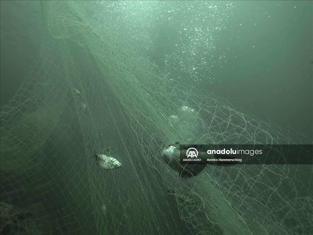 Cleaning of "ghost nets" in Senegal - Anadolu Ajansı