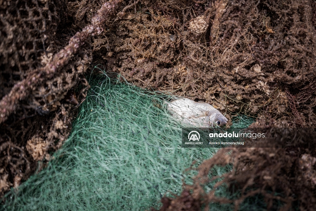 Cleaning of "ghost nets" in Senegal - Anadolu Ajansı