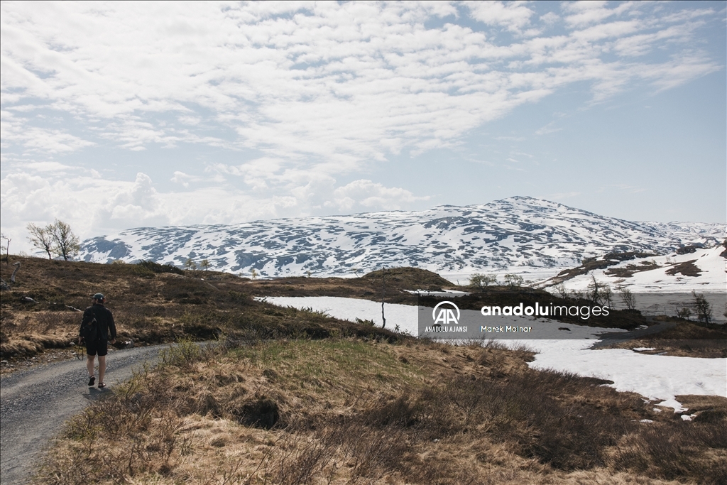 Hardangervidda Ulusal Parkı'nda normalin üstünde sıcaklık değeri ...