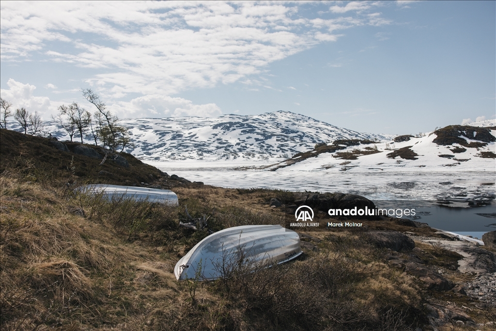 Hardangervidda Ulusal Parkı'nda normalin üstünde sıcaklık değeri ...