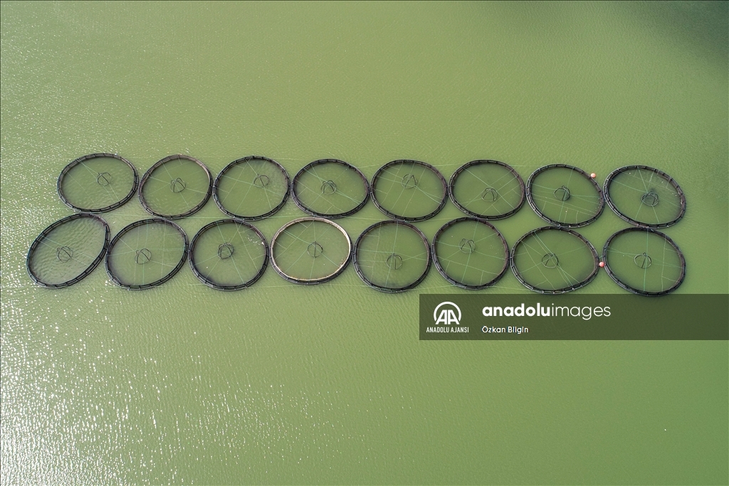 İlkbahar yağışları Van'daki barajlara çare olmadı - Anadolu Ajansı