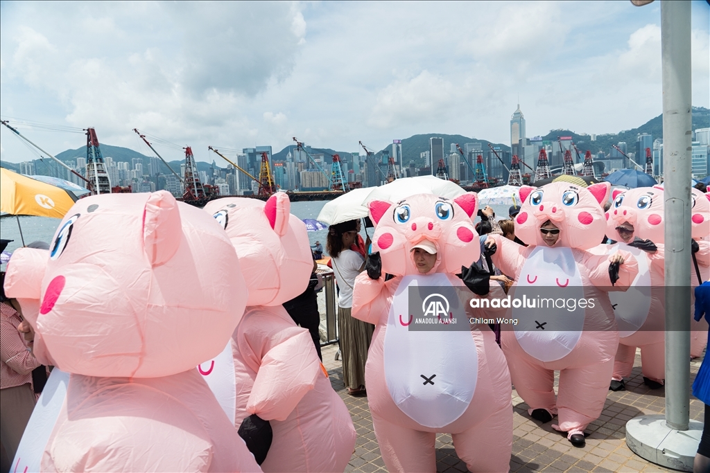 Hong Kong'da Uluslararası Dragon Bot Yarışları - Anadolu Ajansı