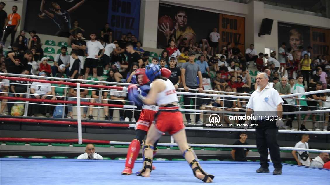 Türkiye Kick Boks Şampiyonası, Mardin'de başladı - Anadolu Ajansı