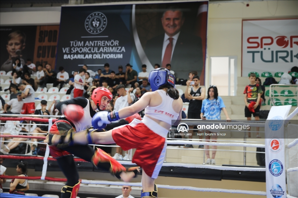 Türkiye Kick Boks Şampiyonası, Mardin'de başladı - Anadolu Ajansı