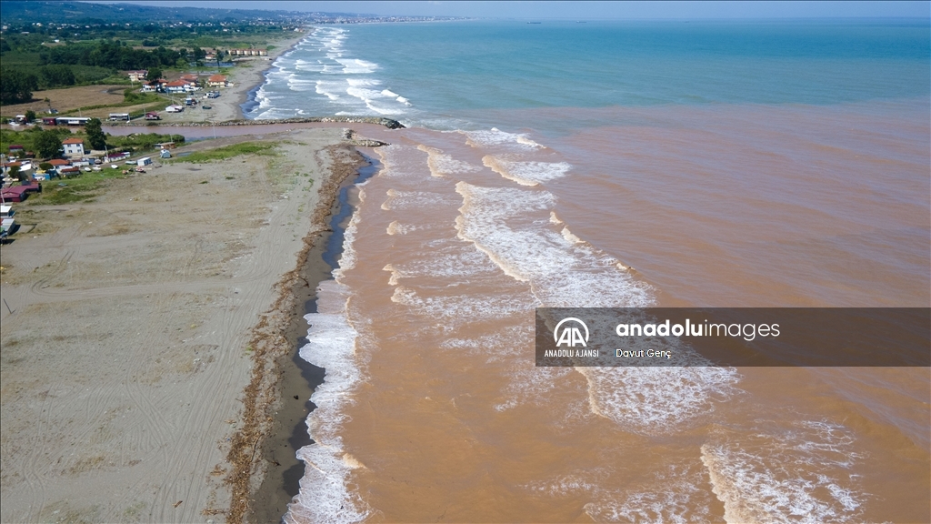 Sakarya'da kirlilik ve dalgalar nedeniyle denize girmek yasaklandı