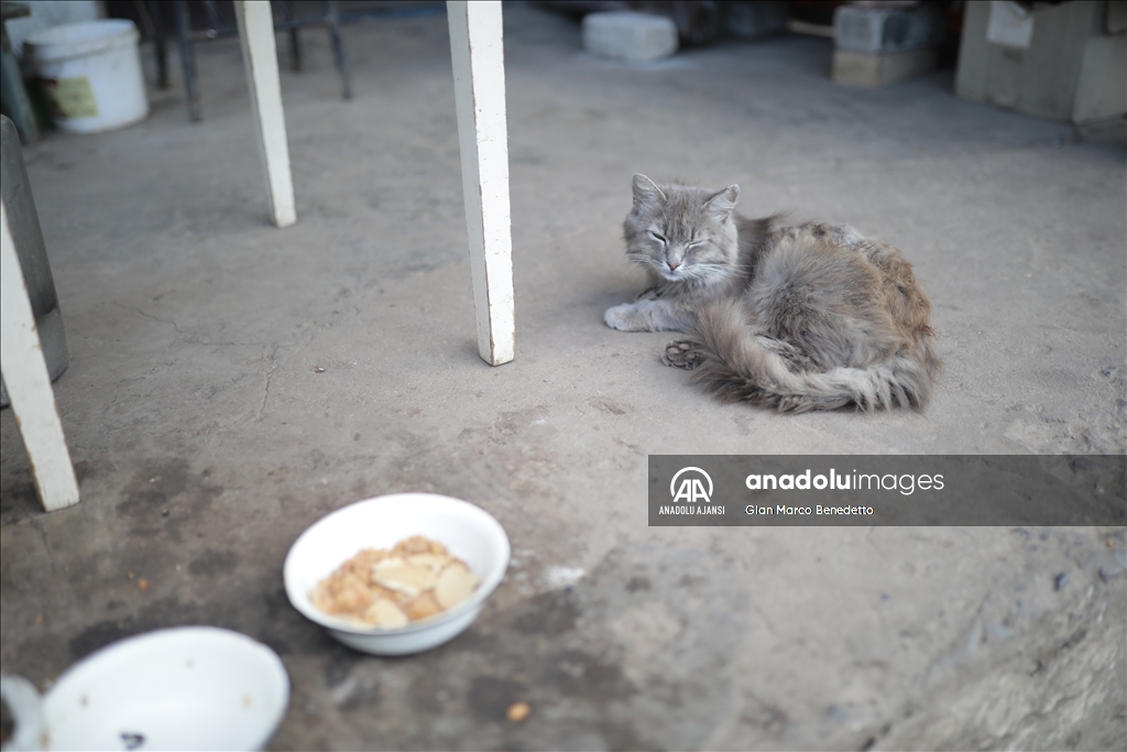 Ukrayna'nın Siversk kentinde savaşın izleri - Anadolu Ajansı