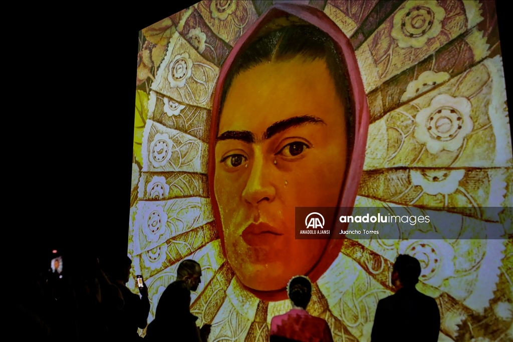 Kolombiya'da Frida Kahlo sergisi açıldı - Anadolu Ajansı