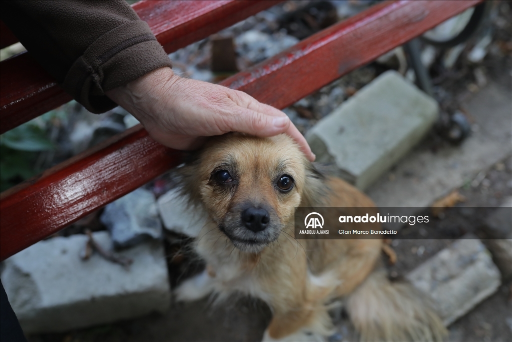 Ukrayna'nın Siversk kentinde savaşın izleri - Anadolu Ajansı