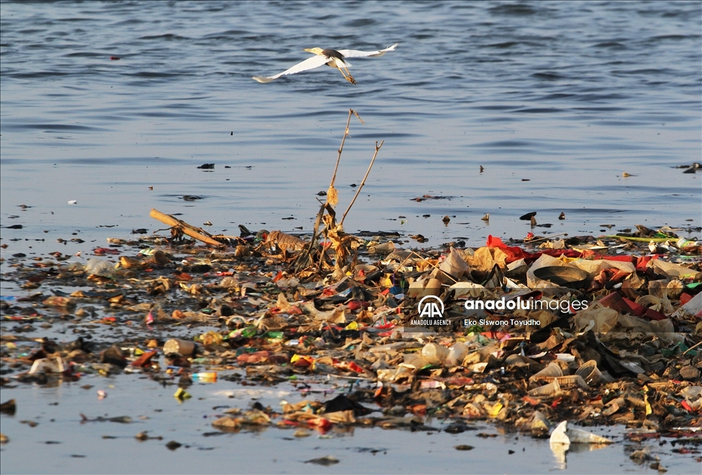 Tons of garbage accumulate on the coast of Jakarta - Anadolu Ajansı