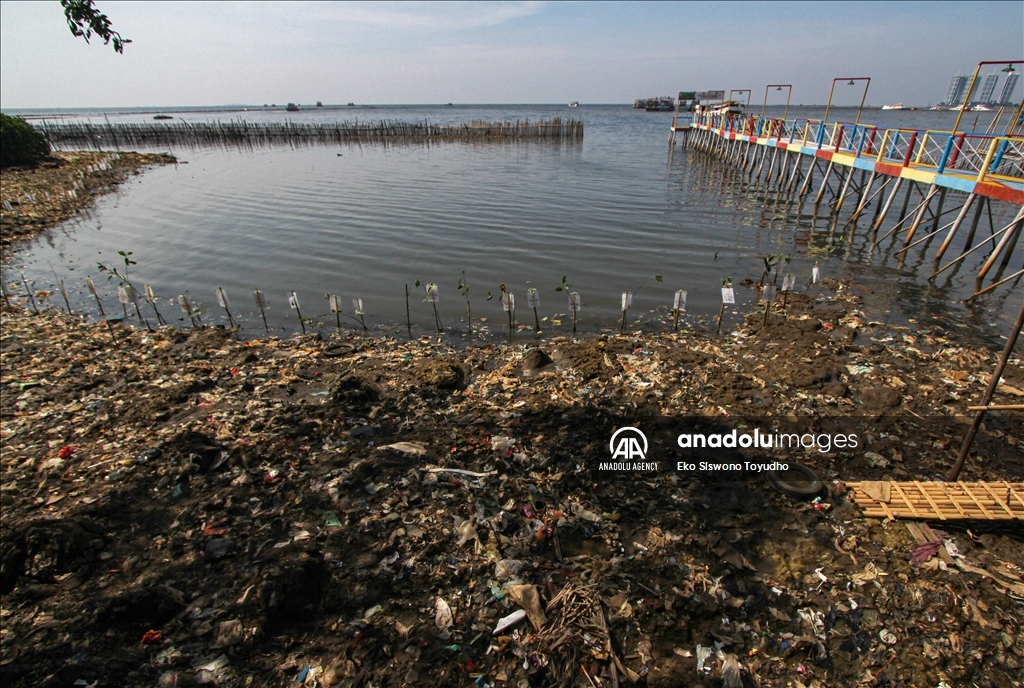 Tons of garbage accumulate on the coast of Jakarta - Anadolu Ajansı