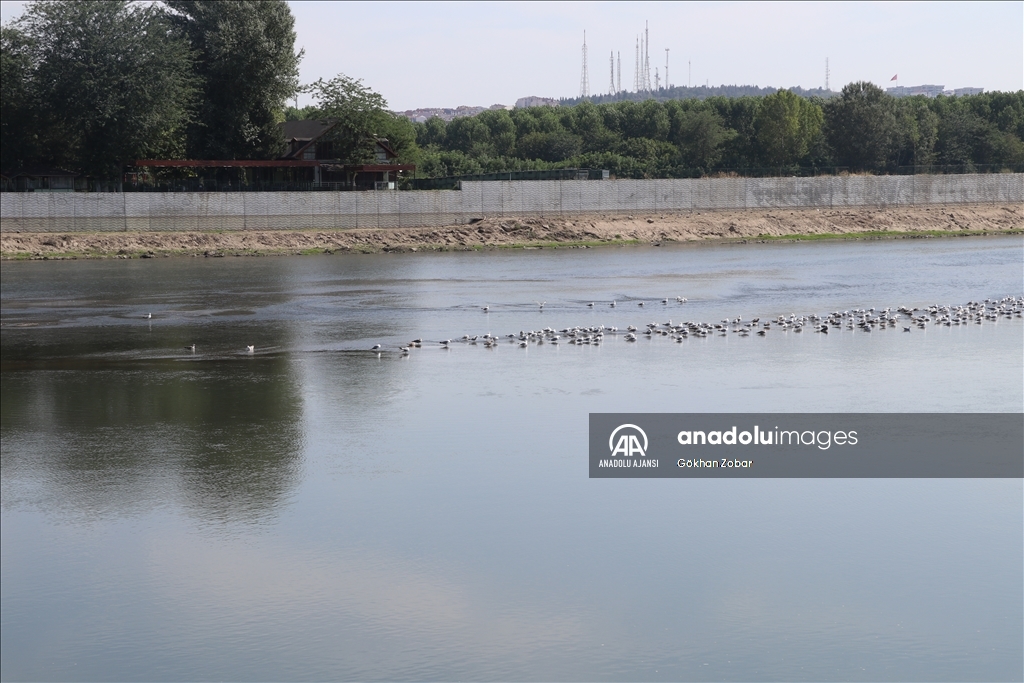 Edirne'de Meriç ve Tunca nehirlerinin su seviyesi düştü - Anadolu Ajansı