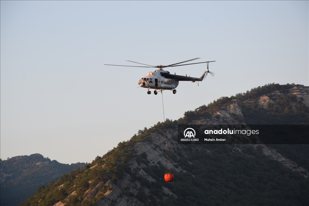 Bilecik'te çıkan orman yangını kontrol altına alındı - Anadolu Ajansı