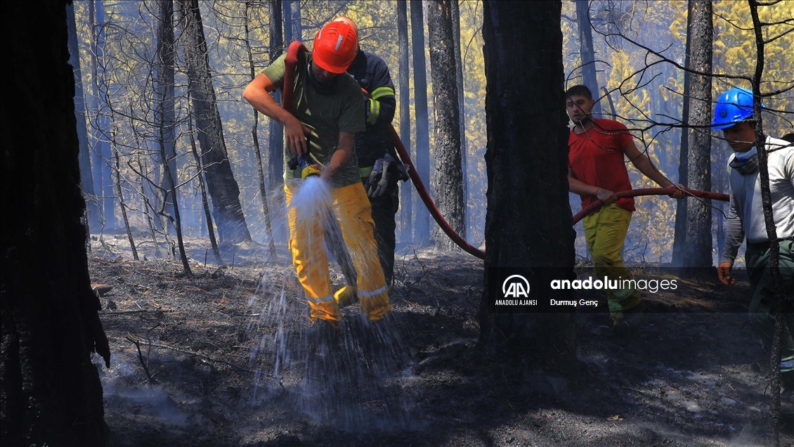 Muğla'da çıkan orman yangını söndürüldü - Anadolu Ajansı