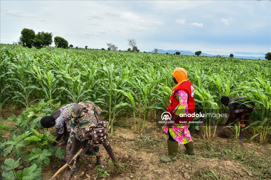 Boko Haram ile Kerawa'da yaşam - Anadolu Ajansı