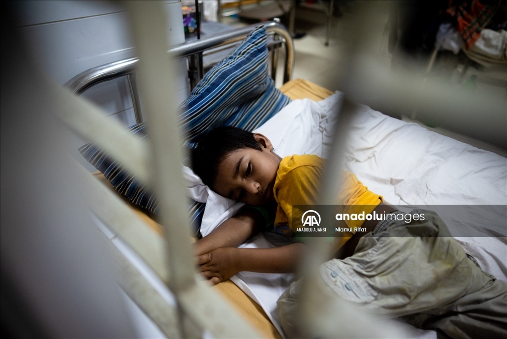 Bangladeş'te dang humması - Anadolu Ajansı