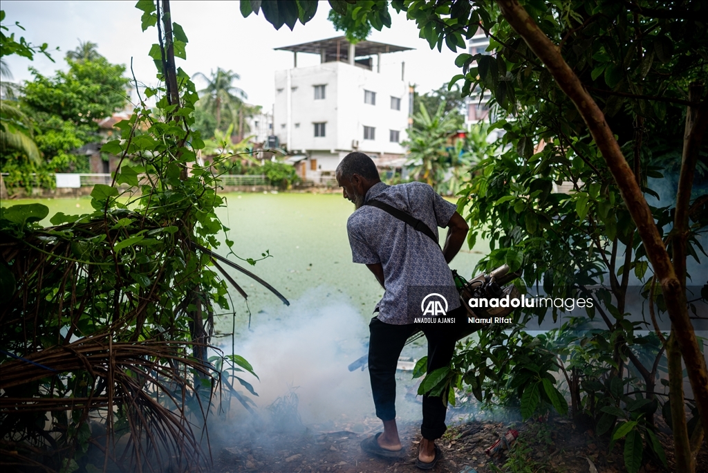 Bangladeş'te dang humması - Anadolu Ajansı