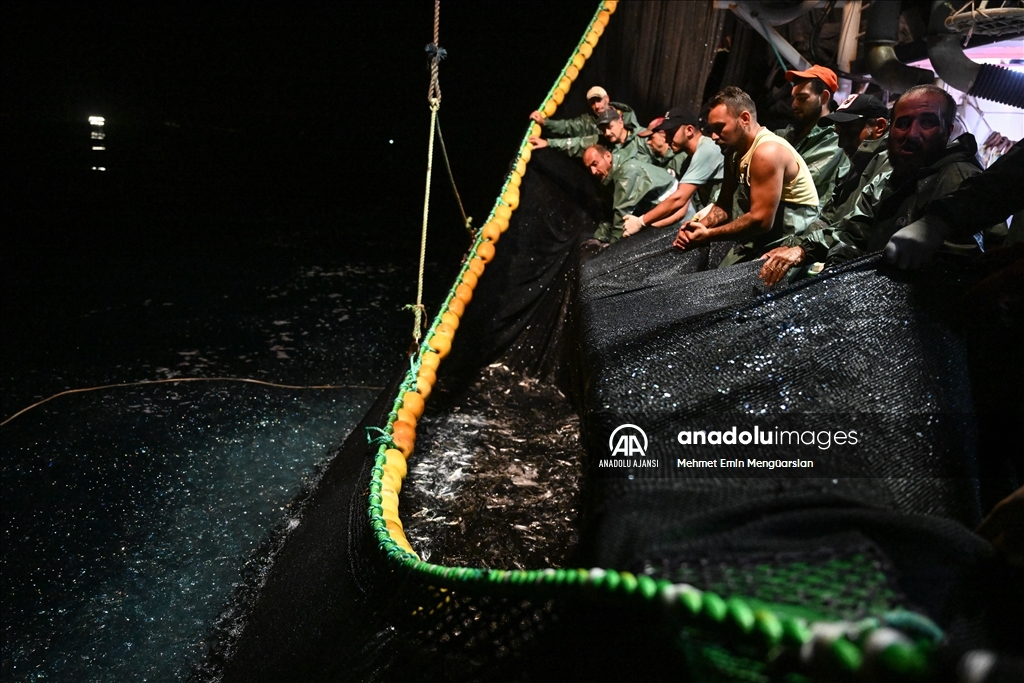 Egeli balıkçılar ilk avdan umutla döndü - Anadolu Ajansı