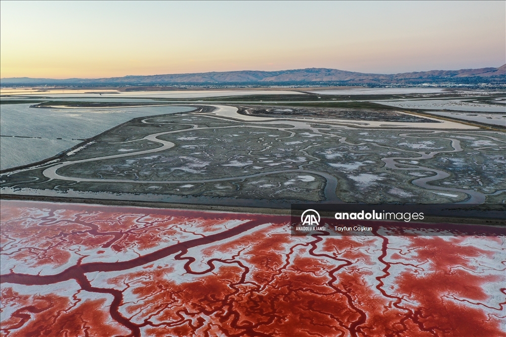 California’nın San Francisco körfezindeki Alviso Tuz Göletleri ...