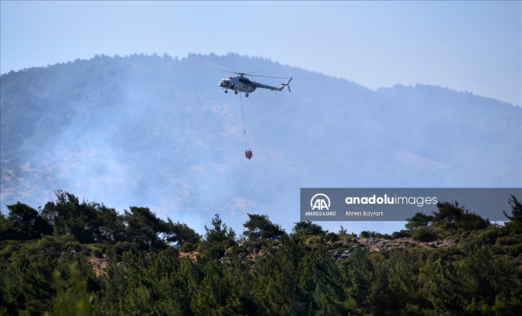 Manisa'nın Soma ilçesinde çıkan orman yangınına müdahale sürüyor ...
