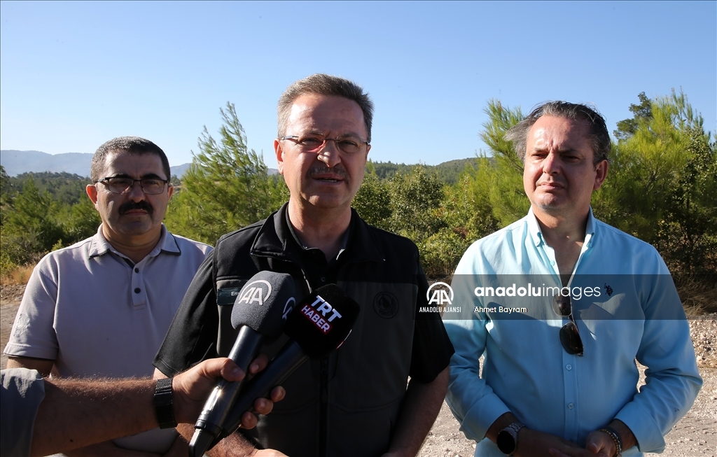 Manisa'nın Soma ilçesinde çıkan orman yangınına müdahale sürüyor ...