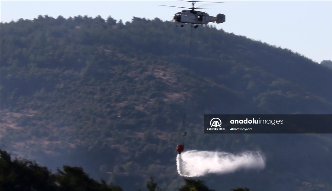 Manisa'nın Soma ilçesinde çıkan orman yangınına müdahale sürüyor ...