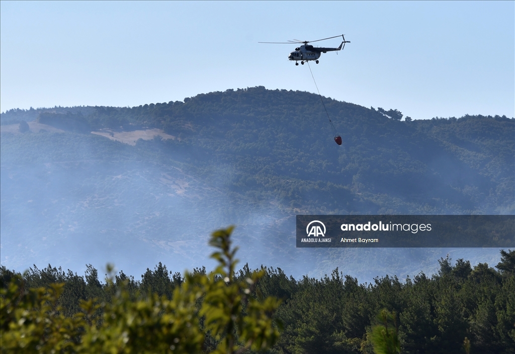 Manisa'nın Soma ilçesinde çıkan orman yangınına müdahale sürüyor ...