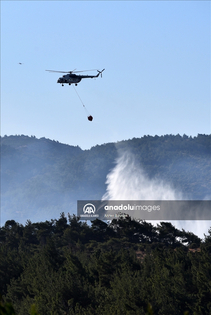 Manisa'nın Soma ilçesinde çıkan orman yangınına müdahale sürüyor ...
