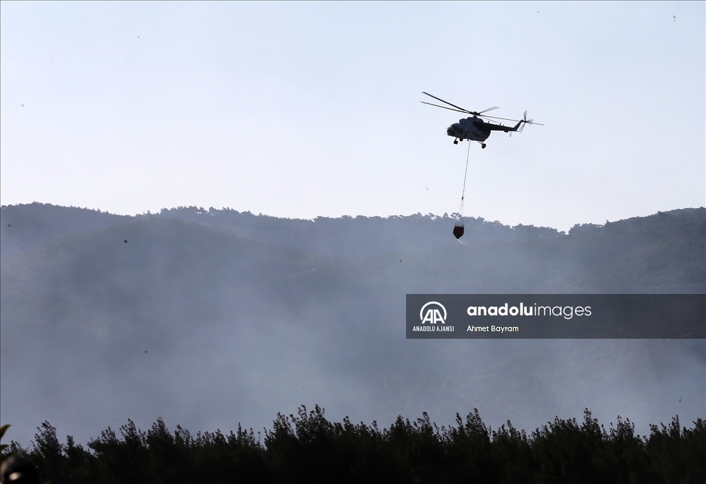 Manisa'nın Soma ilçesinde çıkan orman yangınına müdahale sürüyor ...