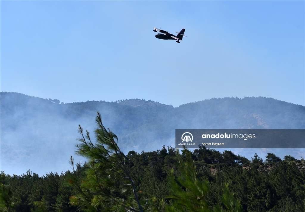 Manisa'nın Soma ilçesinde çıkan orman yangınına müdahale sürüyor ...