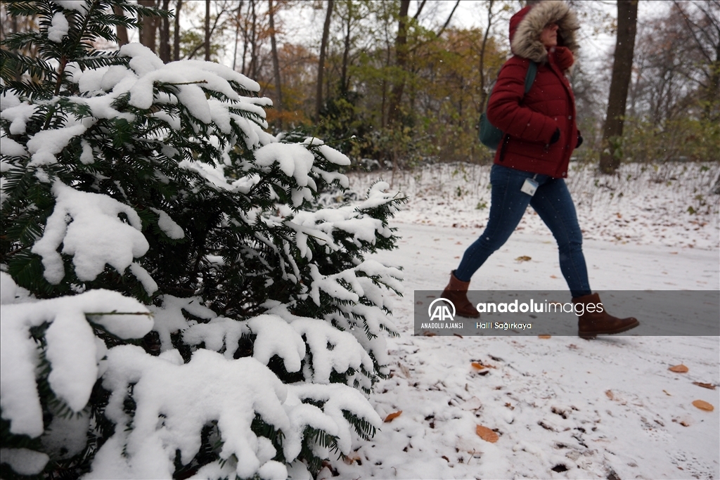 Berlin'de kar yağışı - Anadolu Ajansı