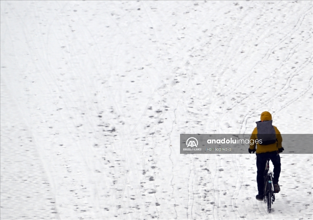 Berlin'de kar yağışı - Anadolu Ajansı