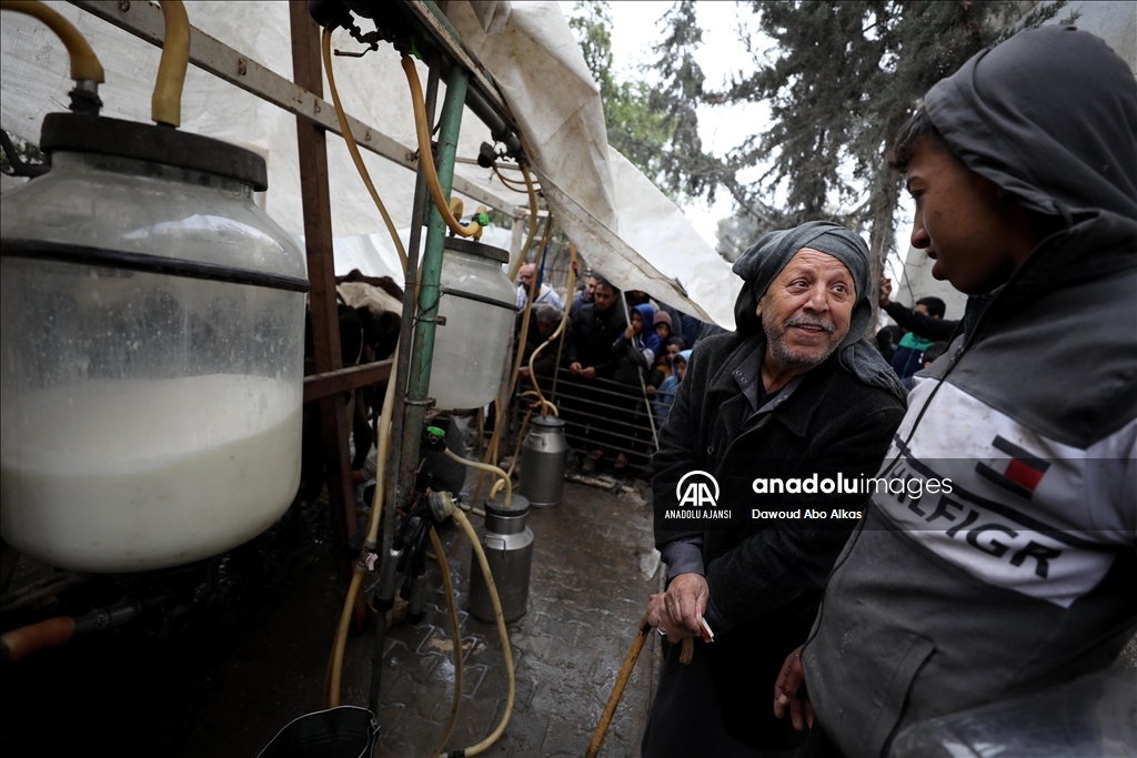 Filistinli çiftçi Omar Abu Ajwa - Anadolu Ajansı