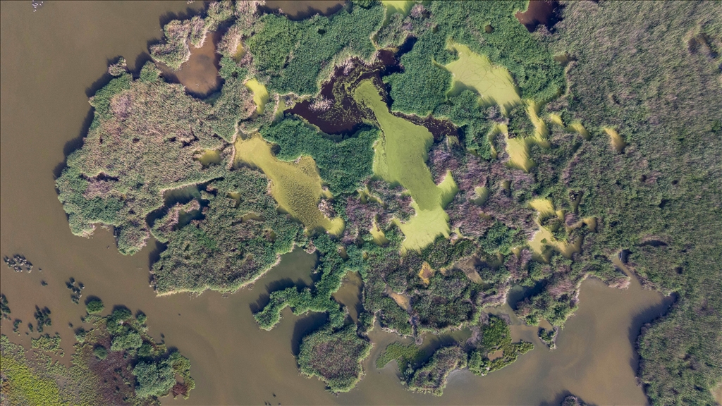 Natural life at Lake Eber in Turkiye's Afyonkarahisar - Anadolu Ajansı