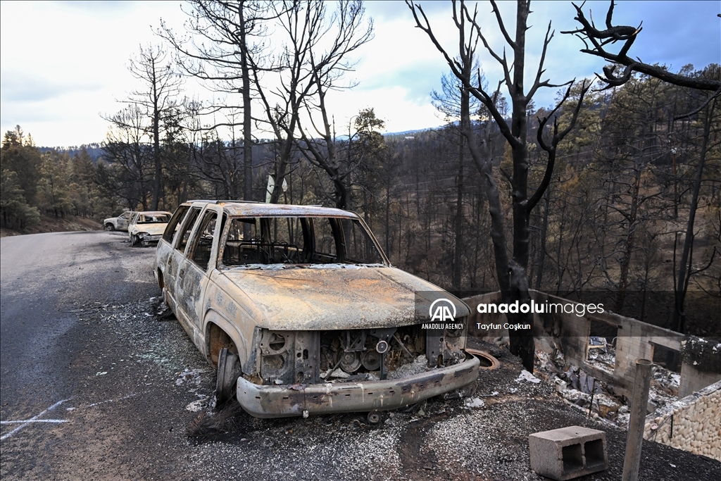 Hundreds of structures destroyed as South Fork Fire continue in New ...