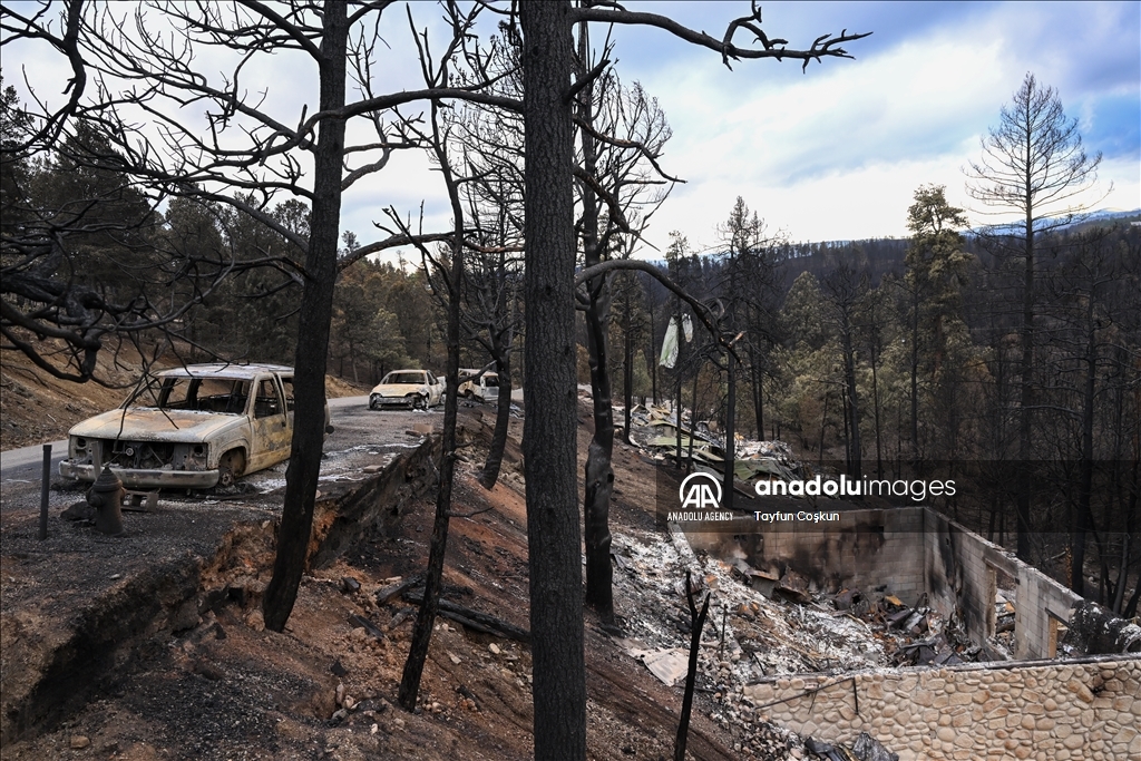 Hundreds of structures destroyed as South Fork Fire continue in New ...