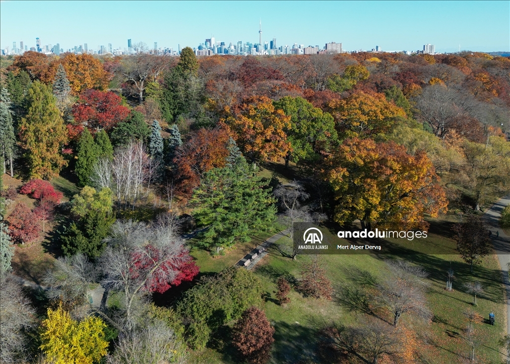 Toronto'da Sonbahar - Anadolu Ajansı