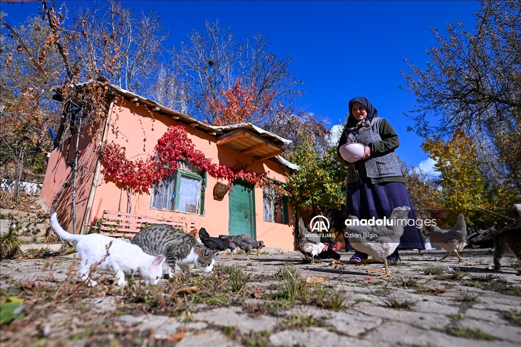 Bahçesaray'da güz mevsimi - Anadolu Ajansı