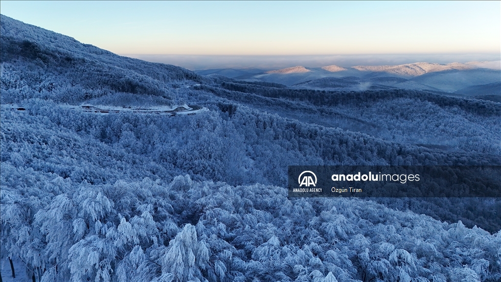 Winter in Turkiye's Kirklareli - Anadolu Ajansı