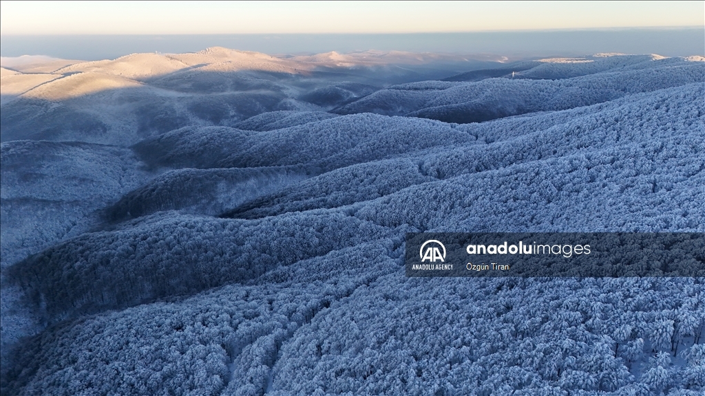 Winter in Turkiye's Kirklareli - Anadolu Ajansı