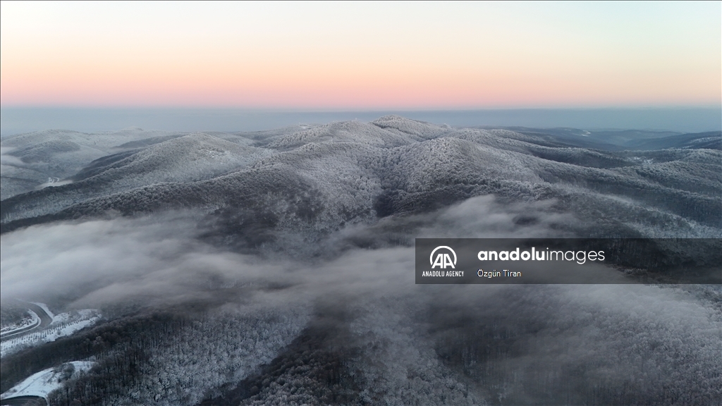 Winter in Turkiye's Kirklareli - Anadolu Ajansı