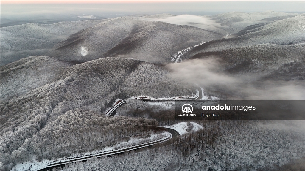 Winter in Turkiye's Kirklareli - Anadolu Ajansı