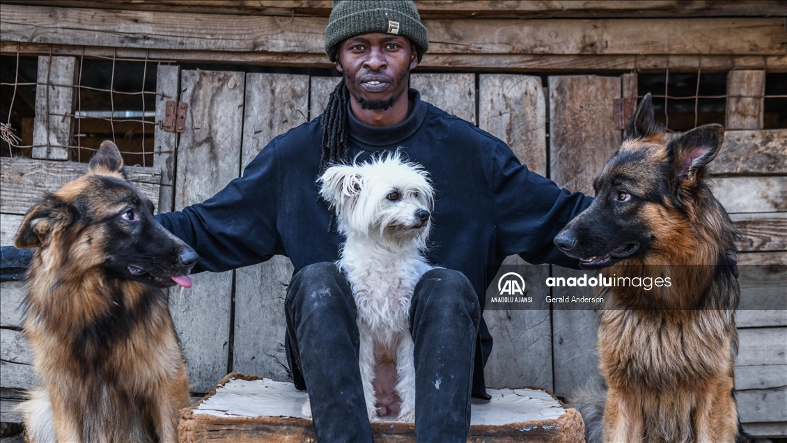 Kenyalı Wekesa, hayatını evinde beslediği onlarca köpeğe adadı - Anadolu Ajansı