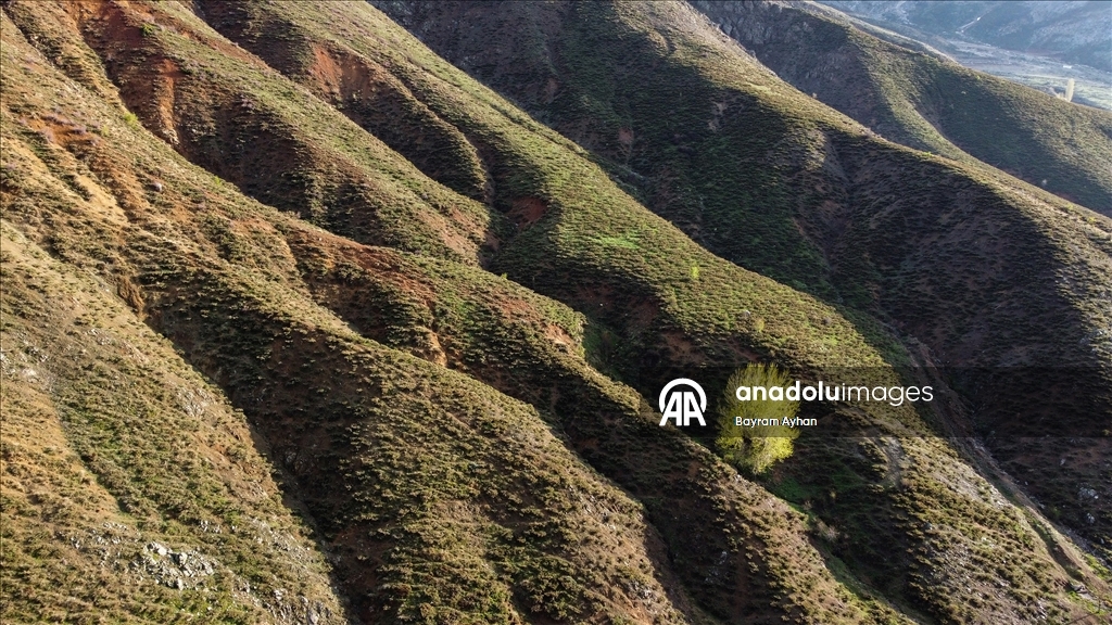 Porga Vadisi doğal zenginlikleriyle dikkat çekiyor - Anadolu Ajansı