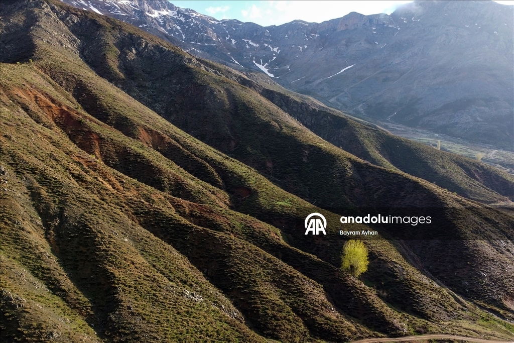 Porga Vadisi doğal zenginlikleriyle dikkat çekiyor - Anadolu Ajansı