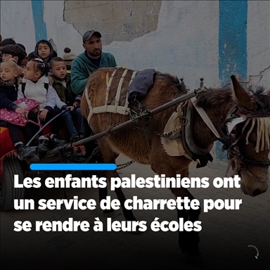 Les enfants palestiniens ont un service de charrette pour se rendre à ...