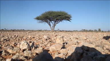 Somalia threatened by worst drought in 40 years - Anadolu Ajansı