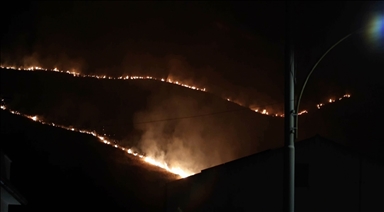 Wildfires continue overnight on Italy’s Sicily island - Anadolu Ajansı
