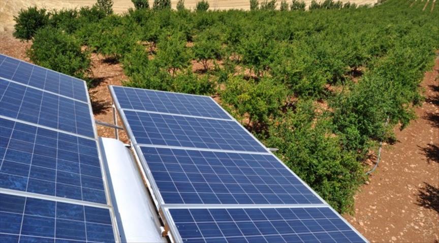 Scotland receives approval for new solar power farm