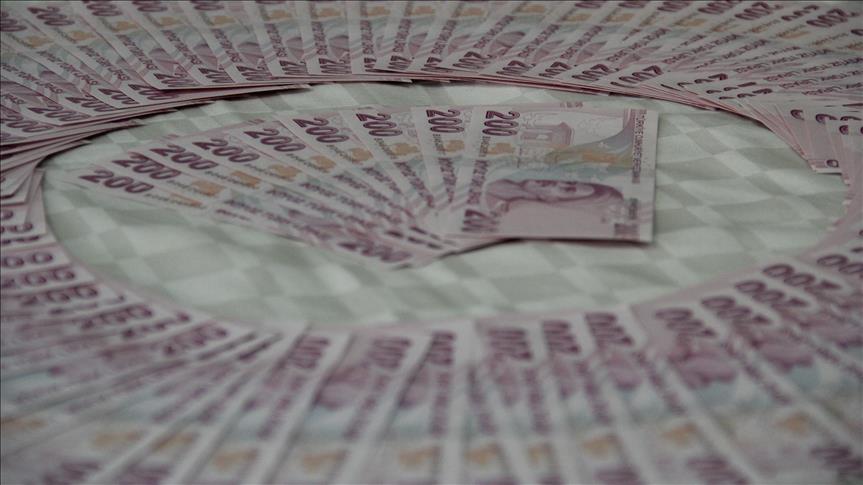 Turkey has sound banking sector: Watchdog head